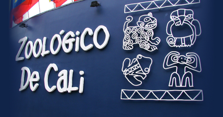 Todo lo que debes saber si planeas visitar el Zoológico de Cali
